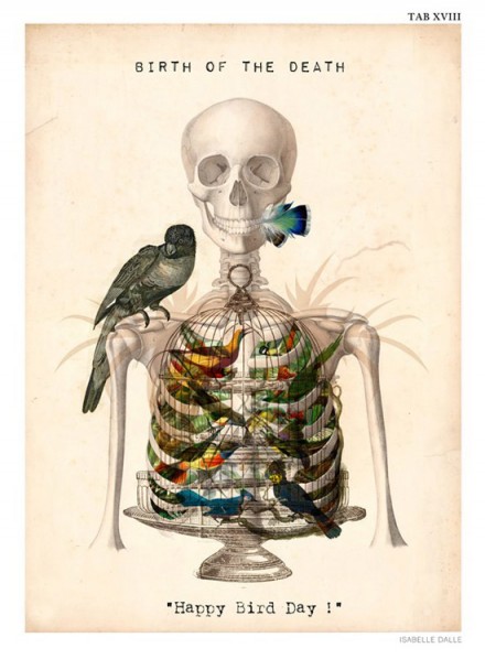 Anatomical collages - Skullspiration